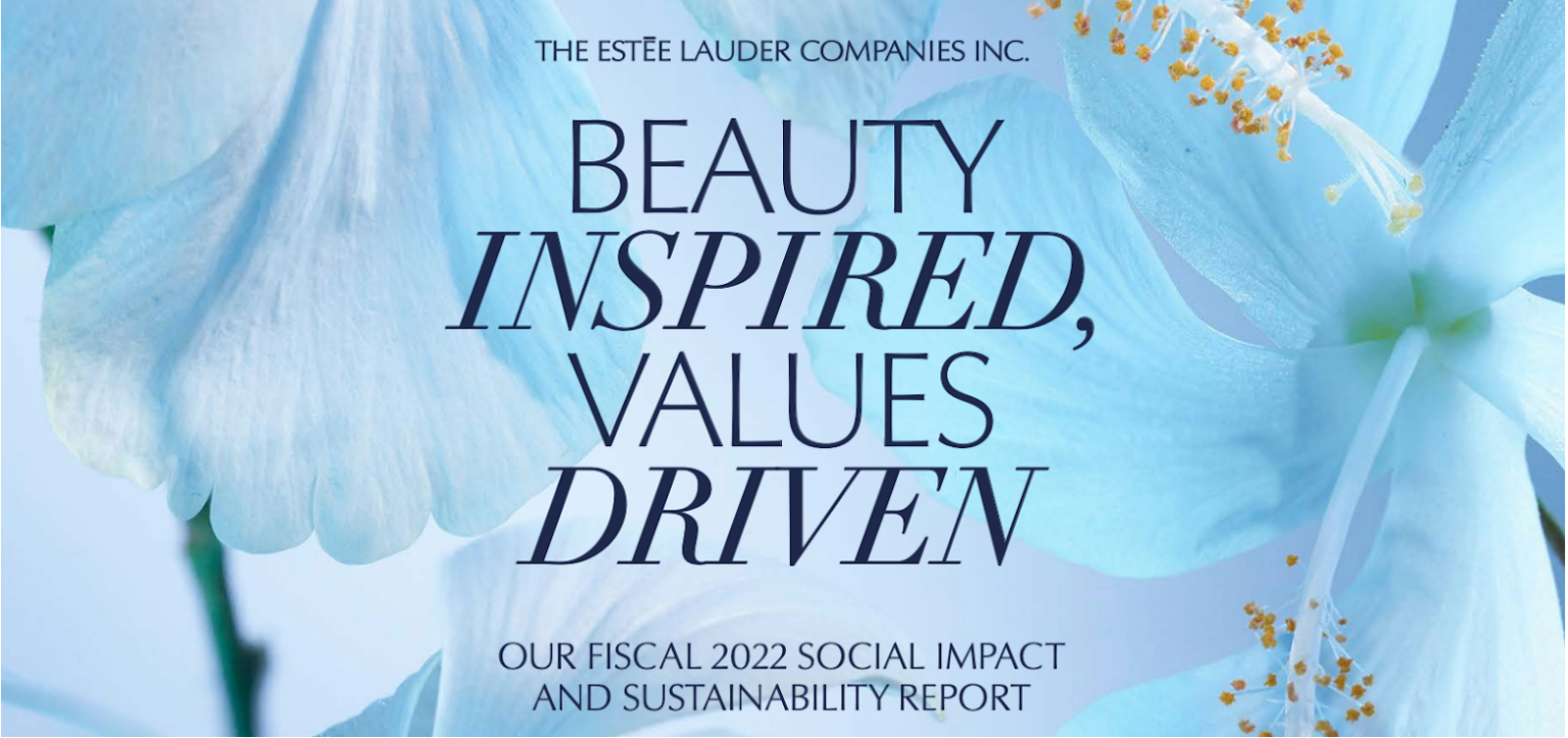 11 Examples of Sustainable Ecommerce Companies In Action